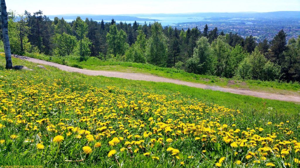Norway: OSLO – Evy is online