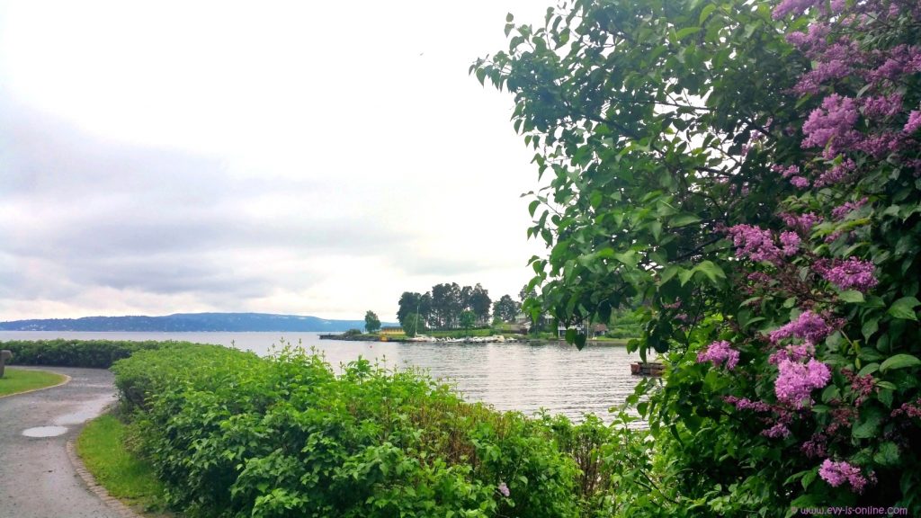 Norway: OSLO – Evy is online
